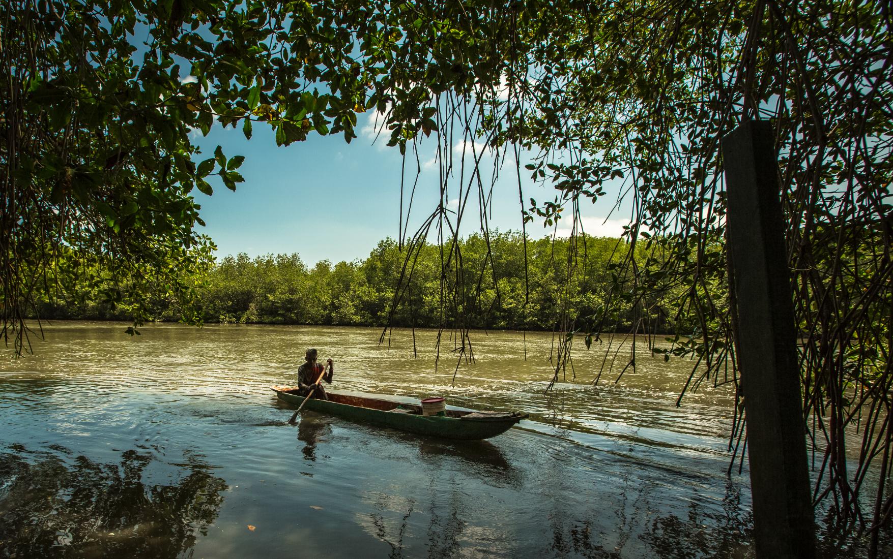 Descubre los manglares de Tumbes | Blog Oficial